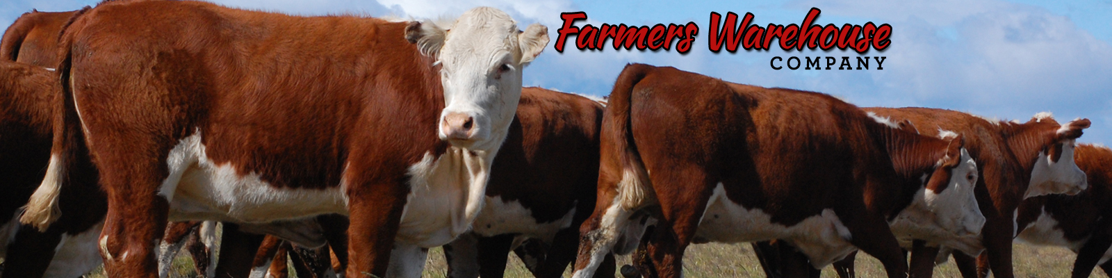 About - Farmers Warehouse - High-Quality Animal Feed