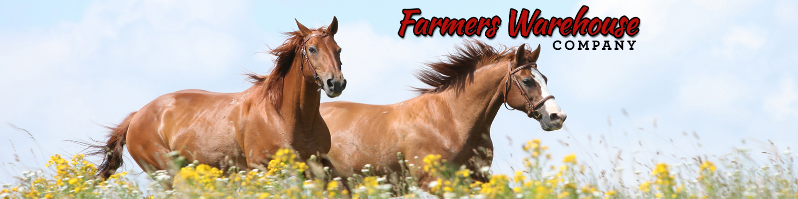 Home - Farmers Warehouse - High-Quality Animal Feed